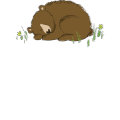Brown Bear Baby Shower Woodland Animals Cake Topper | Zazzle