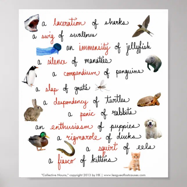Collective Nouns: posters | Zazzle