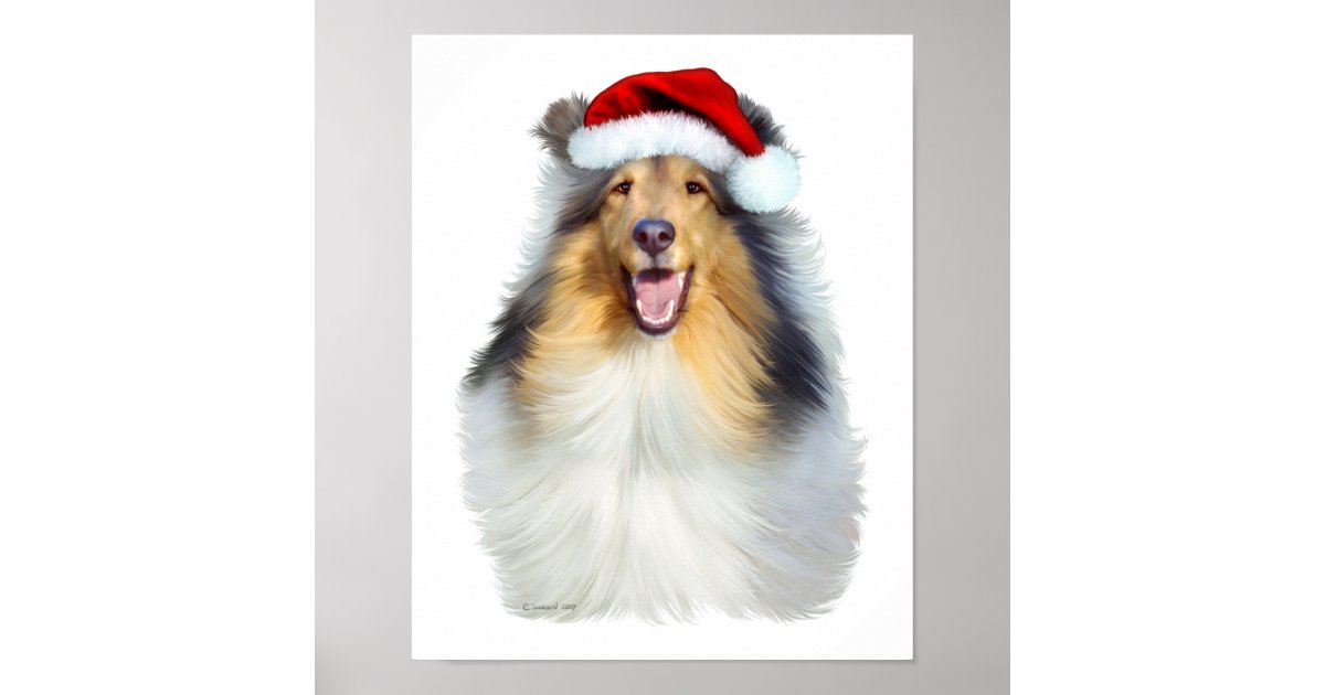 Collie Christmas Santa Poster | Zazzle