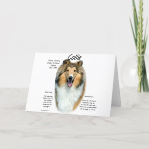 Rough Collie Christmas Cards | Zazzle - 100% Satisfaction Guaranteed!