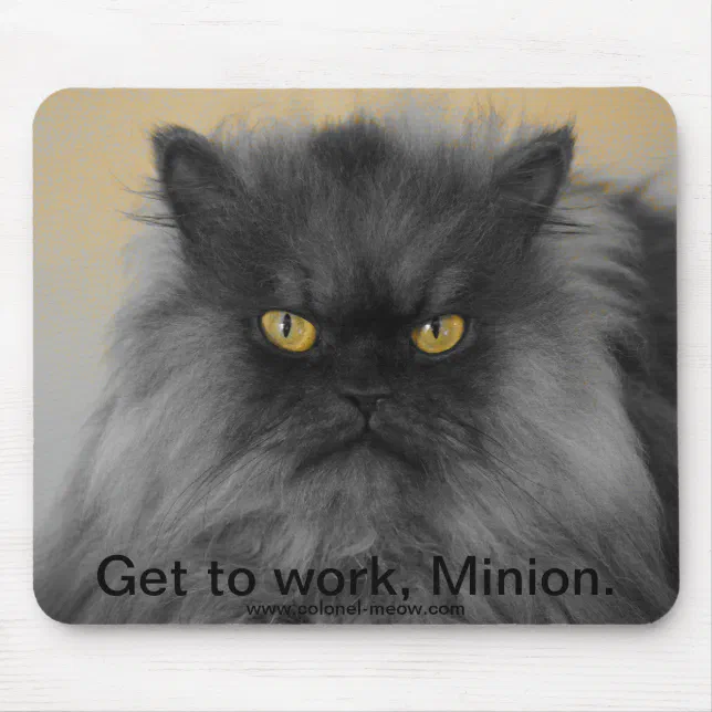 Colonel Meow Mouse Pad | Zazzle