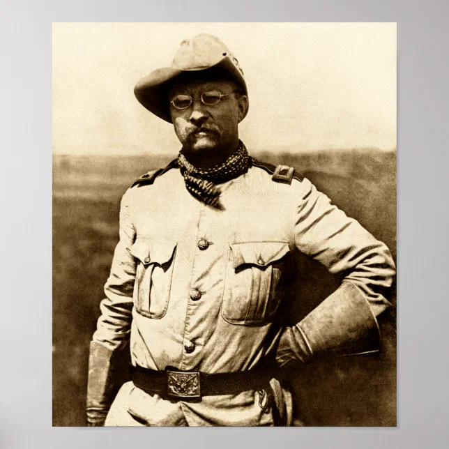 Colonel Theodore Roosevelt Poster | Zazzle
