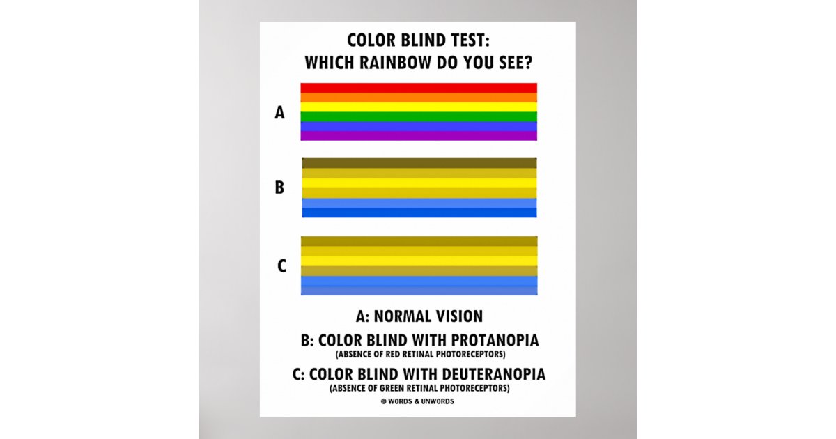 Color Blind Test Which Rainbow Do You See? Poster | Zazzle