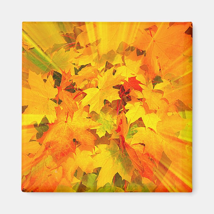 Color Burst of Fall Leaves Autumn Colors Magnet | Zazzle.com