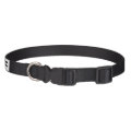 Color Coded Dog Temperament Collar - Blind Dog | Zazzle