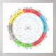 Color Horary Cycle Acupuncture Art Poster | Zazzle
