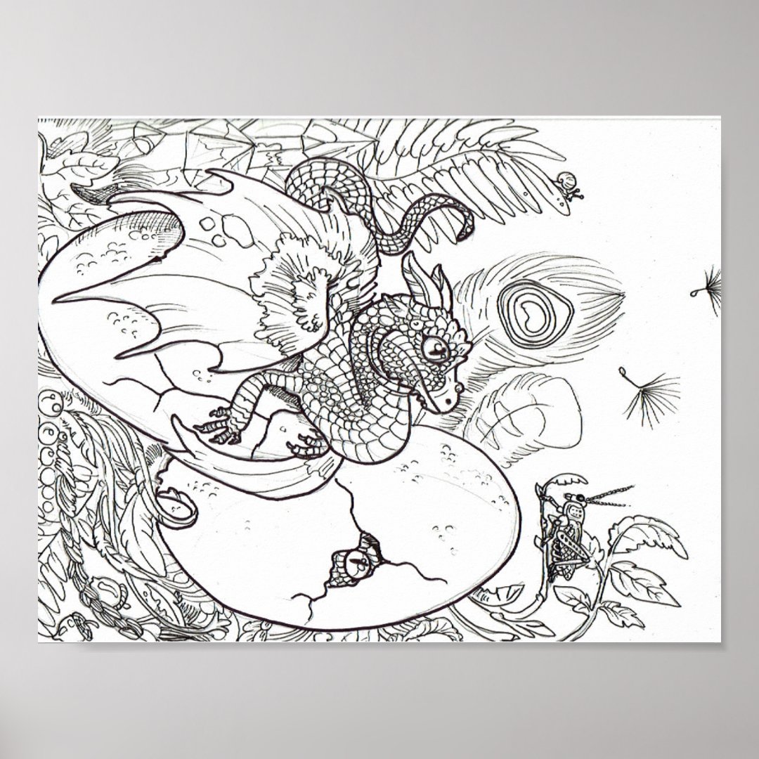 Color your own Hatchling Dragons Poster | Zazzle