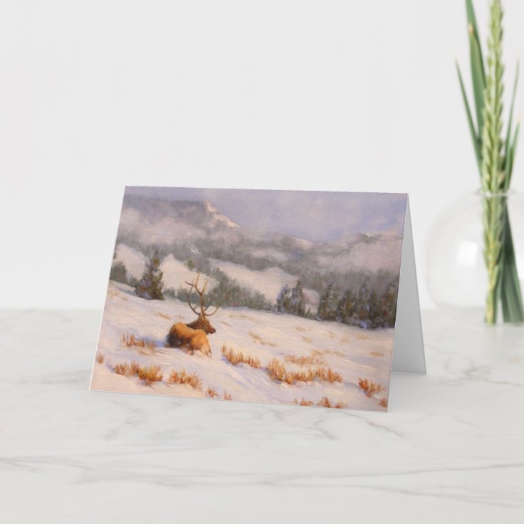 Colorado Elk Art Christmas Card | Zazzle
