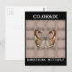 Colorado Hairstreak Butterfly Postcard | Zazzle