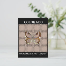 Colorado Hairstreak Butterfly Postcard | Zazzle