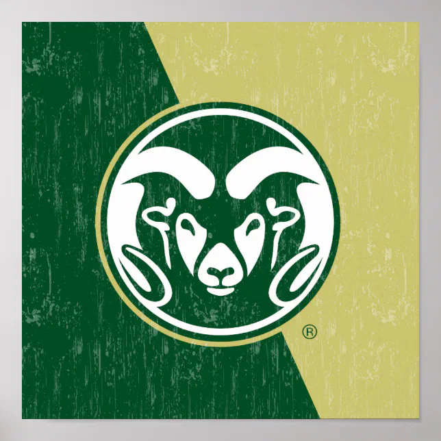 Colorado State University Color Block Distressed Poster | Zazzle