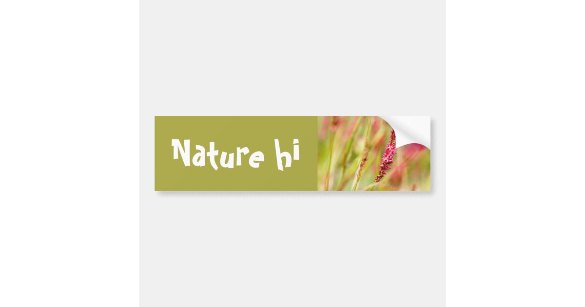 colorbush bumper sticker | Zazzle