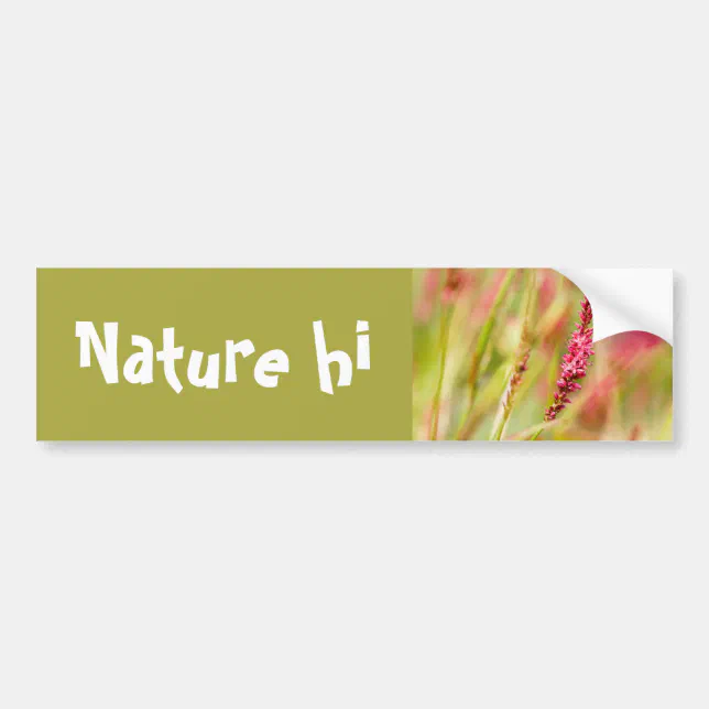 colorbush bumper sticker | Zazzle