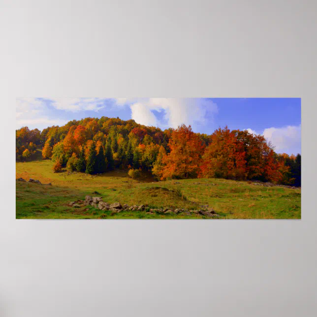 Colorful Autumn Landscape Poster | Zazzle