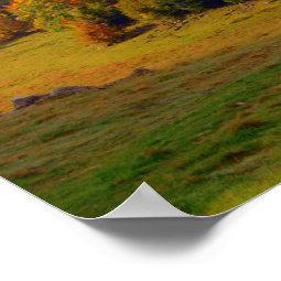 Colorful Autumn Landscape Poster | Zazzle