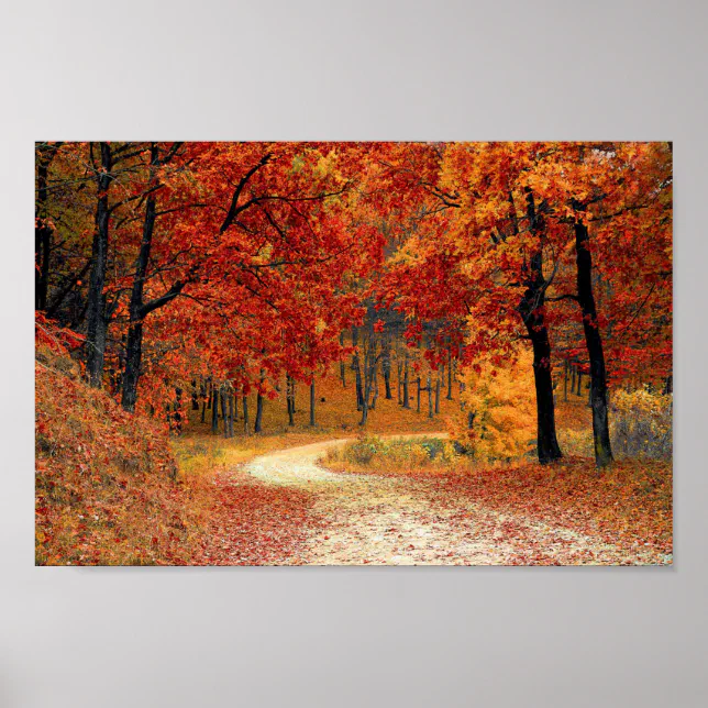 Colorful Autumn Trees Road Poster | Zazzle