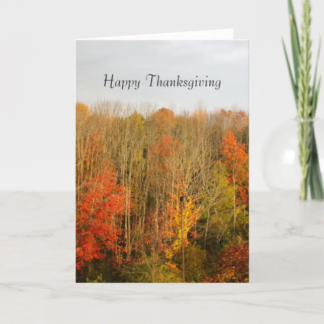 Colorful Autumn Trees Thanksgiving Holiday Card | Zazzle