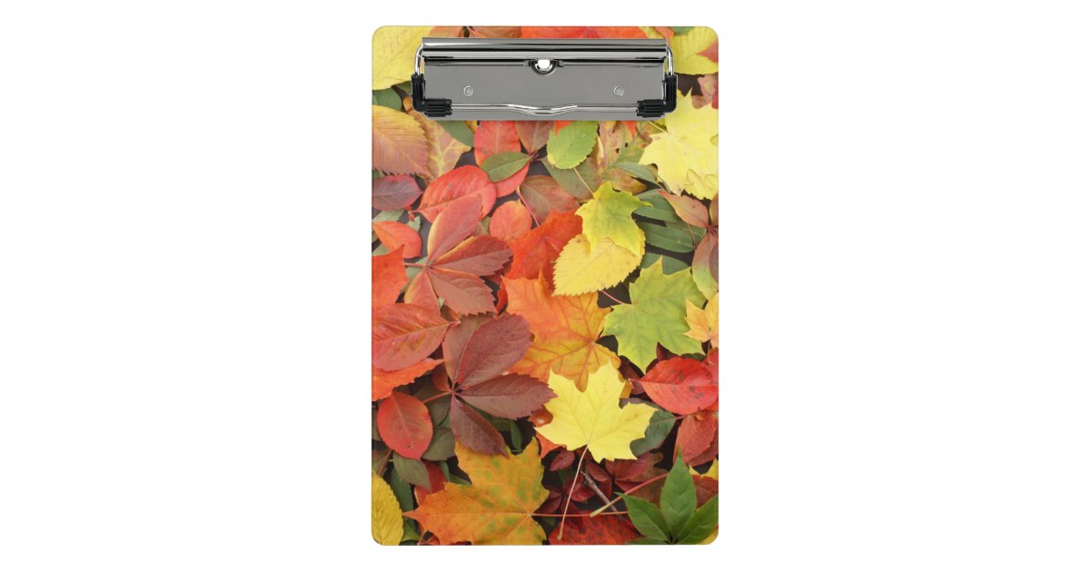 Colorful Background Of Fallen Autumn Leaves Mini Clipboard | Zazzle