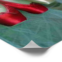 Colorful Ballet Shoes Poster | Zazzle