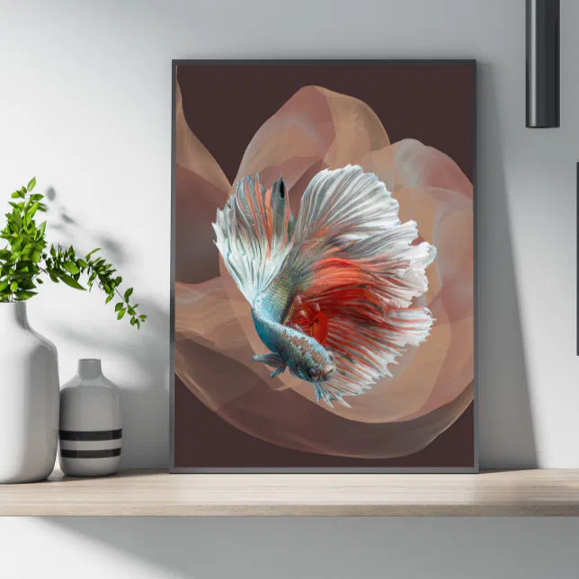 Colorful betta Poster | Zazzle