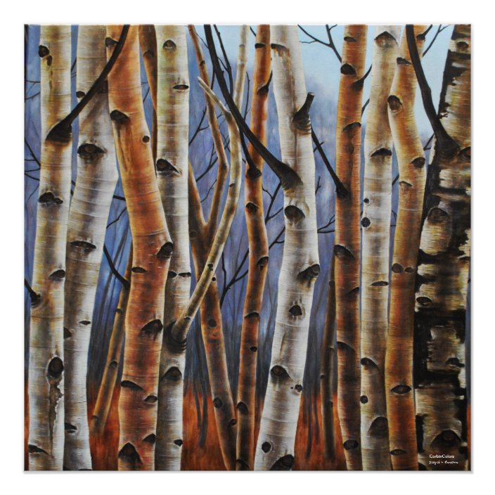 Colorful Birch Trees Poster | Zazzle.com