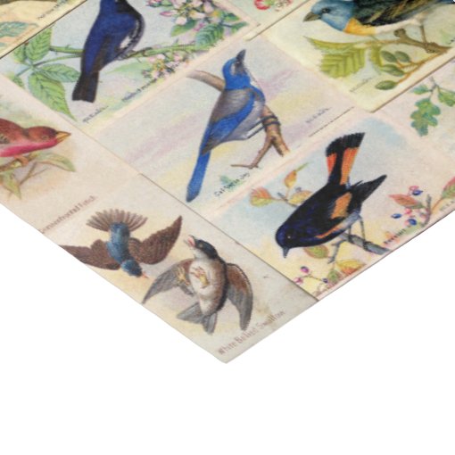 Colorful Birds Tissue Paper | Zazzle