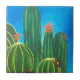 Colorful Cactus Ceramic Tile | Zazzle