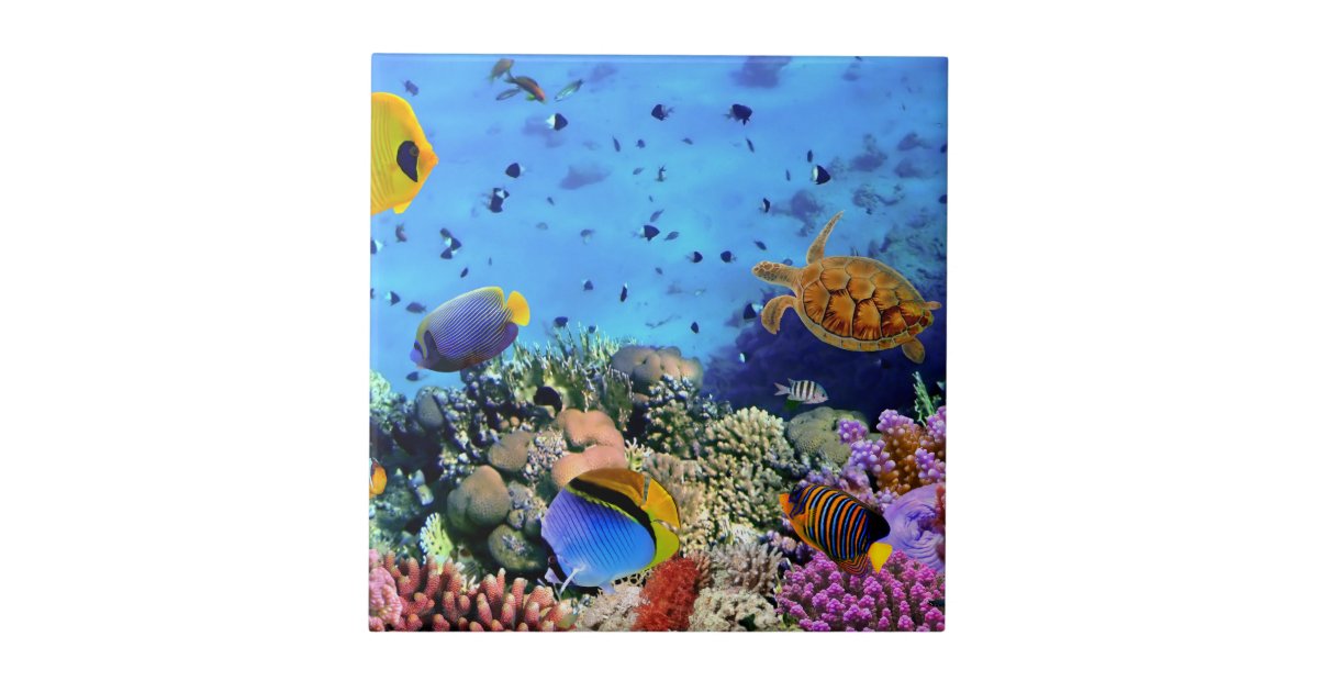 Colorful Coral Reef Critters Tile | Zazzle