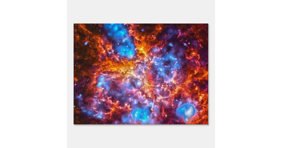 Colorful Cosmos Sign | Zazzle