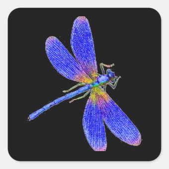 Colorful Dragonfly Square Sticker | Zazzle