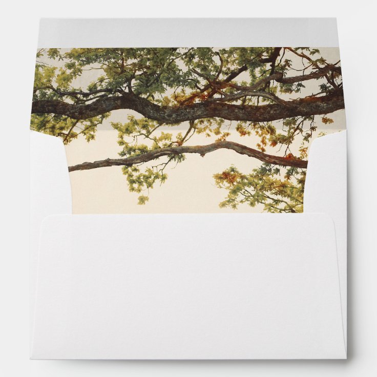 Colorful Fall Tree Leaves and Branches Rustic Envelope | Zazzle