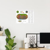 Colorful False Color Map of Mars Poster | Zazzle