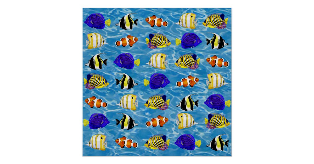 Colorful fish poster | Zazzle
