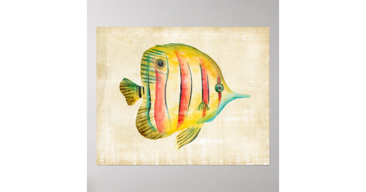 Colorful Fish Poster | Zazzle