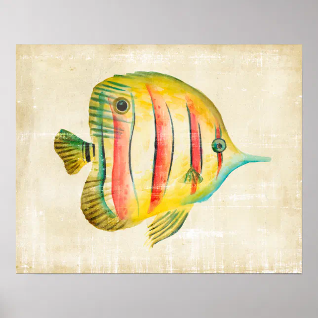 Colorful Fish Poster | Zazzle