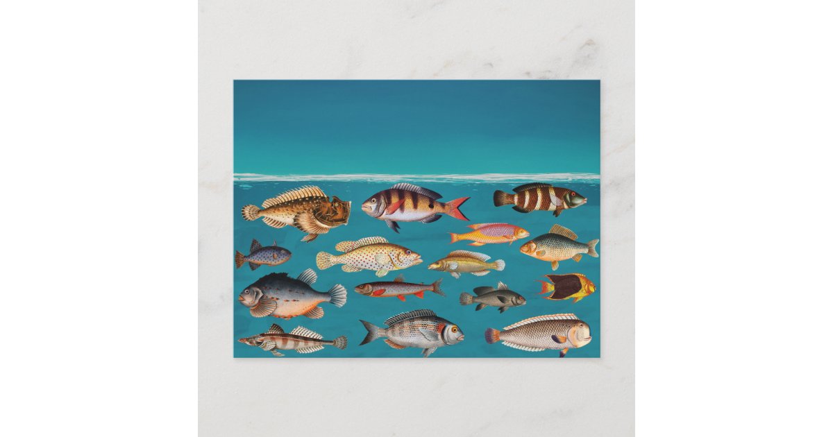 Colorful Fish Under Blue Ocean Water Holiday Postcard | Zazzle