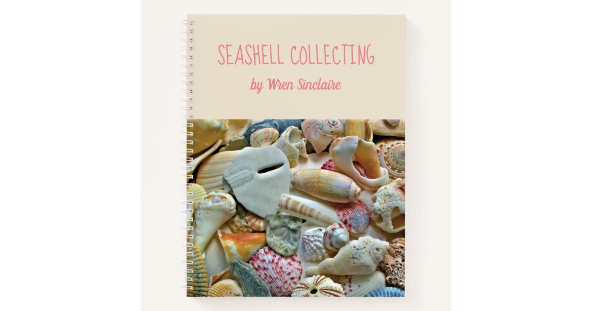 Colorful Florida Seashells Personalized Journal | Zazzle