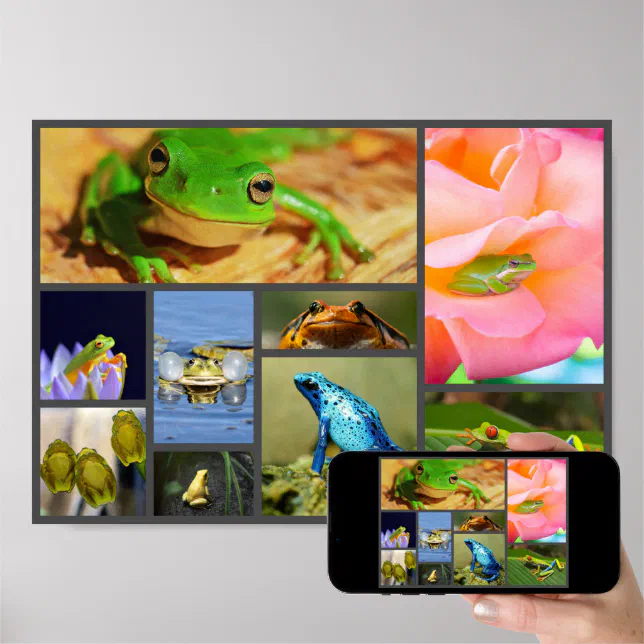 Colorful Frogs, Collage Poster | Zazzle
