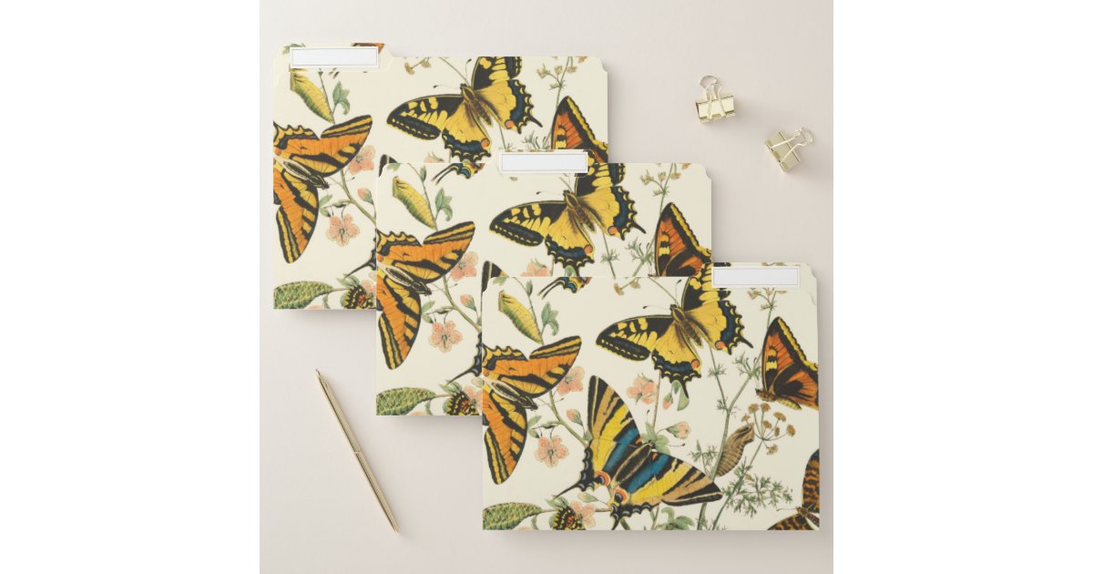 Colorful Gathering of Butterflies and Caterpillars File Folder | Zazzle