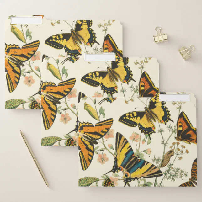 Colorful Gathering of Butterflies and Caterpillars File Folder | Zazzle