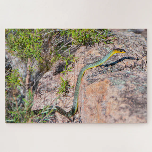 Colorful green tree snake Australia, 1014 pieces Jigsaw Puzzle | Zazzle