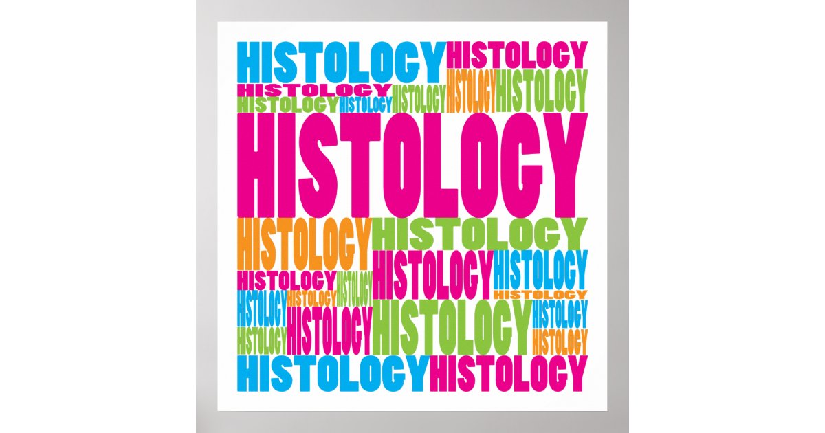 Colorful Histology Poster | Zazzle