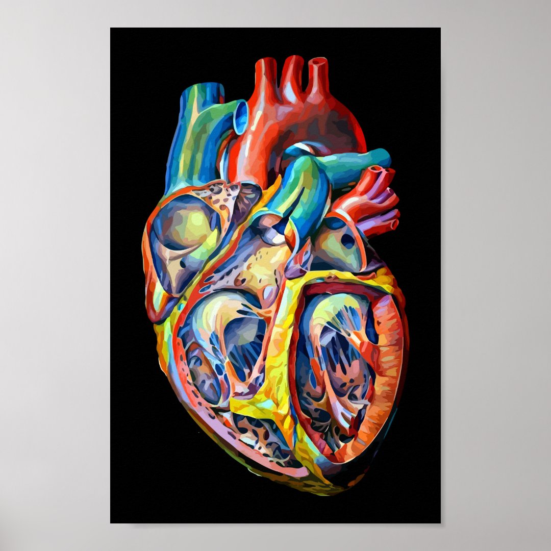 colorful human heart anatomy abstract art poster | Zazzle