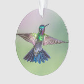 Colorful Hummingbird Flying Name Ornament | Zazzle