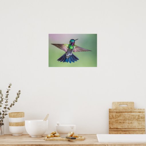 Colorful Hummingbird in Flight Poster | Zazzle