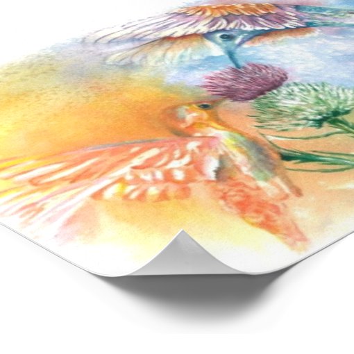 Colorful Hummingbirds Poster | Zazzle