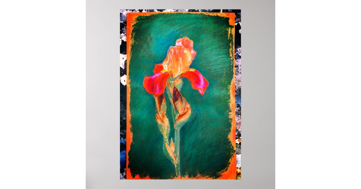 Colorful Iris Flower Poster | Zazzle
