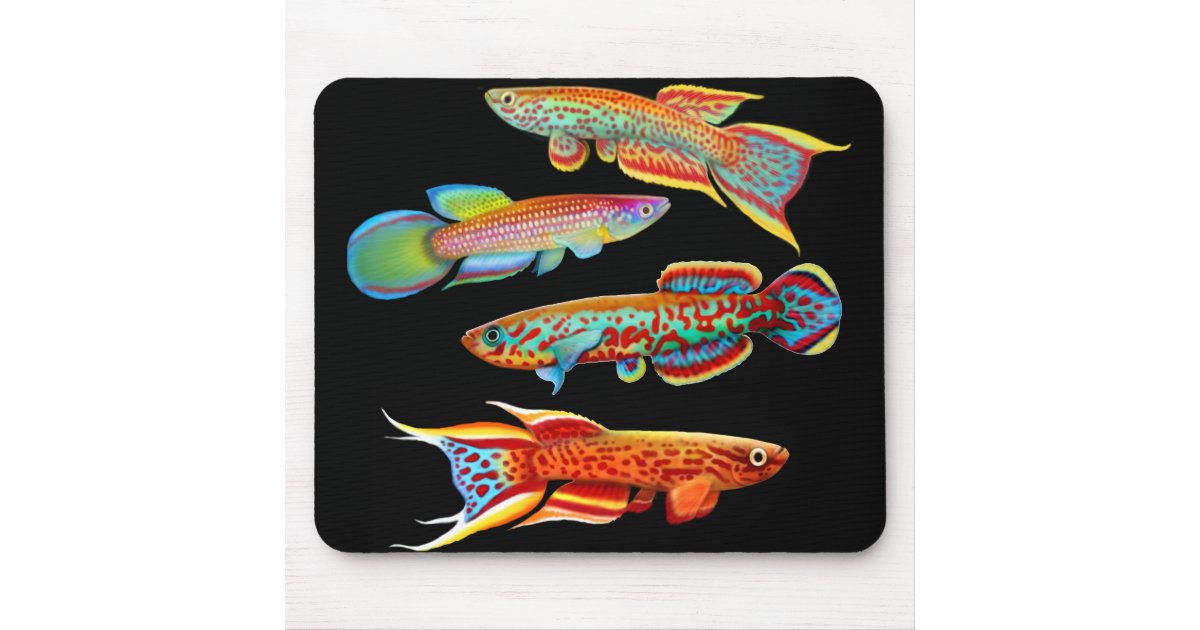 Colorful Killifish Mousepad | Zazzle