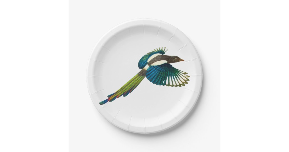 Colorful Magpie Bird, Vintage Illustration Paper Plates | Zazzle