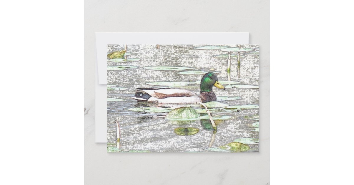 Colorful Mallard duck Art Retirement invitation | Zazzle